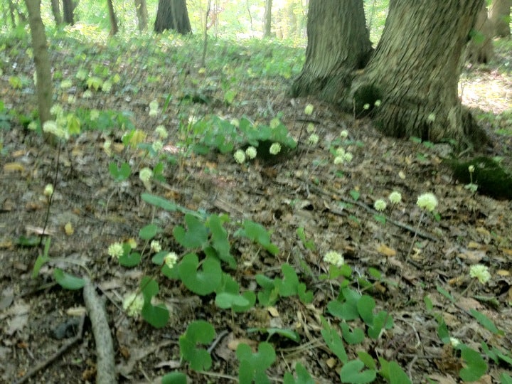 Monee, IL Map & Directions - MapQuest