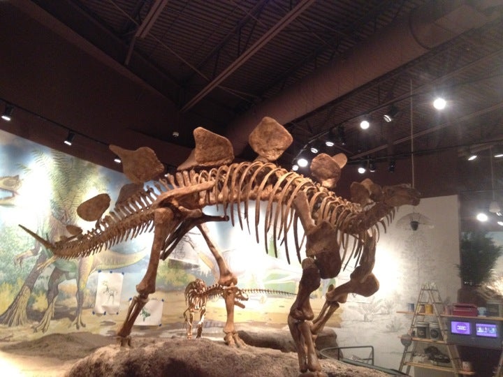 Dinosaur, CO Map & Directions - MapQuest