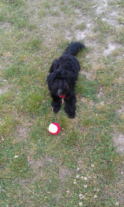 Ovid, MI Map & Directions - MapQuest