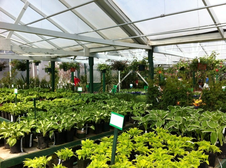 Flower World, 19523 Broadway Ave, Snohomish, WA, Garden Centers - MapQuest