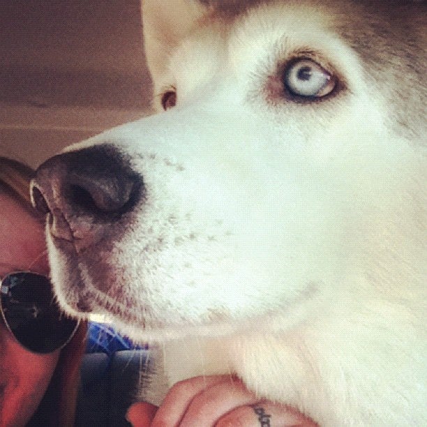 Hopkins, SC Map & Directions - MapQuest