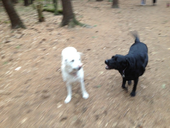 Ballston Lake, NY Map & Directions - MapQuest