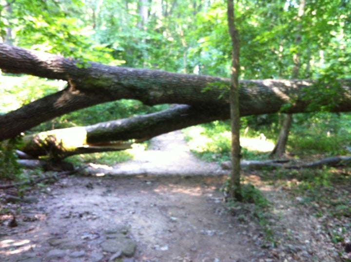 Patapsco State Park - Cascade Falls Trailhead, Elkridge, MD - MapQuest