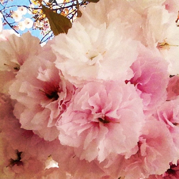 William J. Raggio Building, N Virginia St, Reno, NV - MapQuest