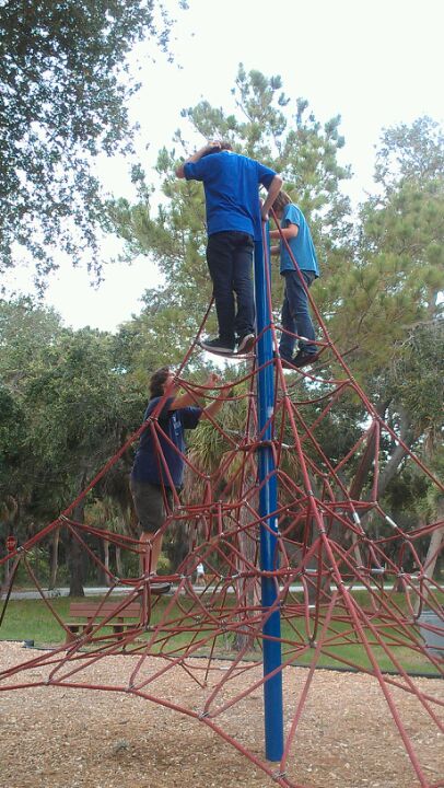 Diane T Gowski MD - Bay Pines VA Medical Center Thoracic Surgery, 10000 ...