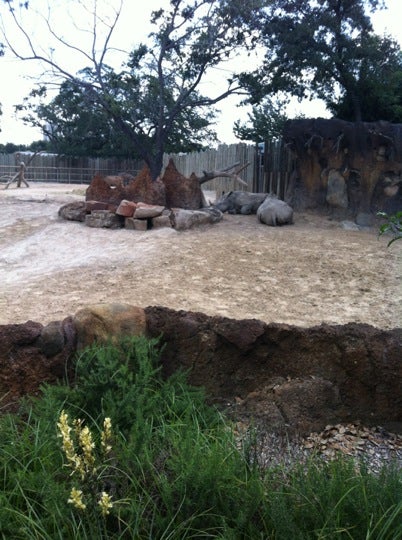 White Rhinoceros Exhibit, 1513 Cambridge St, Houston, TX - MapQuest