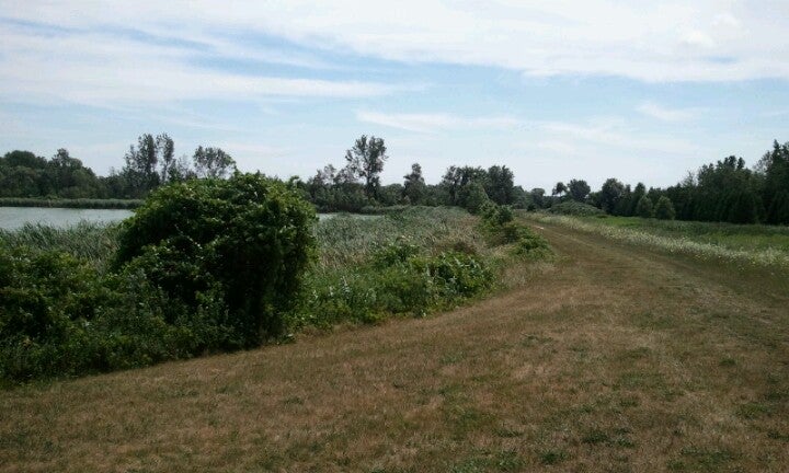 Strathroy Sewage Treatment Lagoon, Pike Rd, Adelaide Metcalfe, ON ...