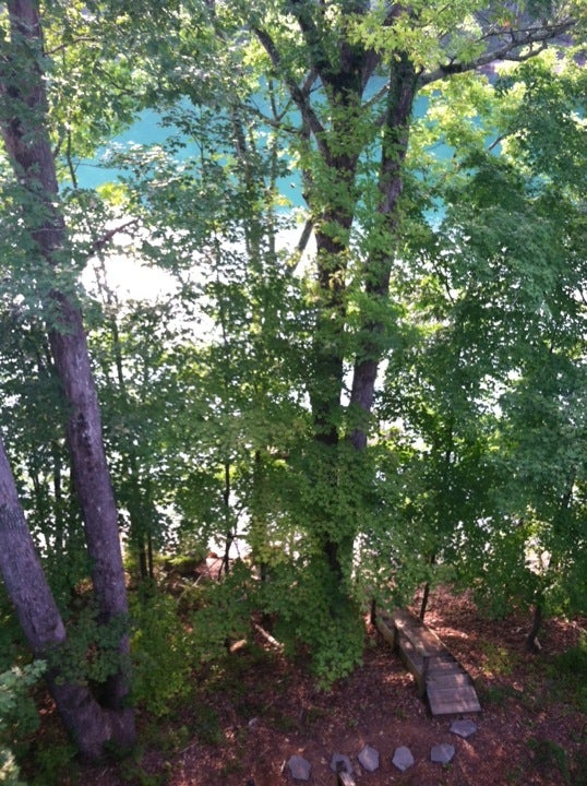 Speedwell, TN Map & Directions - MapQuest