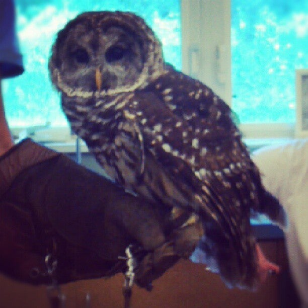 Emmaus, PA Map & Directions - MapQuest