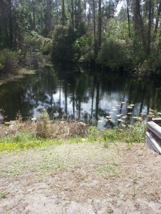 Gator Pond, 1701 N US Highway 1, Ormond Beach, FL, Lake - MapQuest