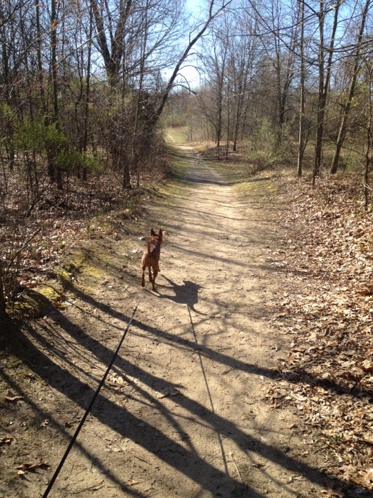 Orion Oaks Park, Lake Orion, MI, Trail - MapQuest