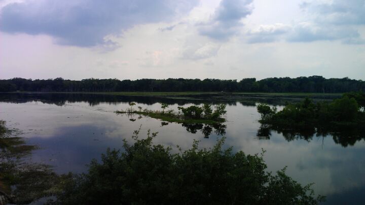 40 Acre Lake Observation Tower, Park Rd, Needville, TX, Landmark - MapQuest