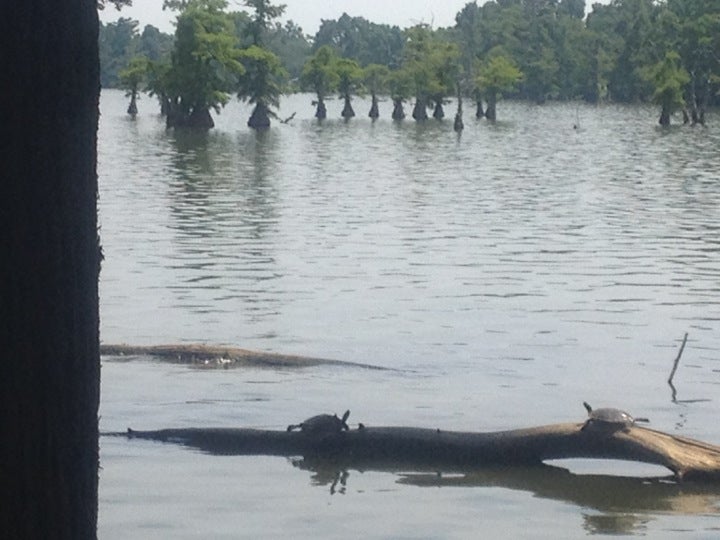 Ridgely, TN Map & Directions - MapQuest