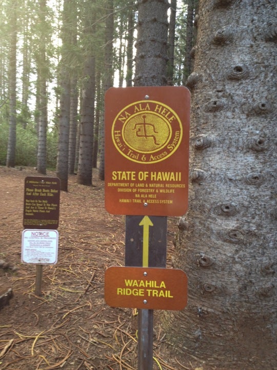 Waahila Ridge State Recreation Area, Ruth Place, Honolulu, HI, Picnic ...