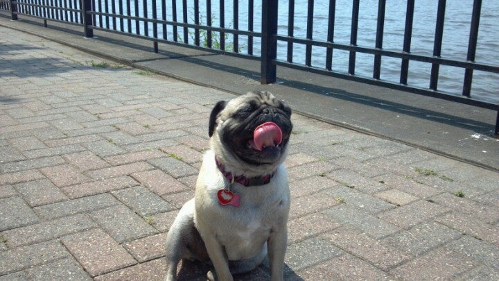 Eastman, WI Map & Directions - MapQuest