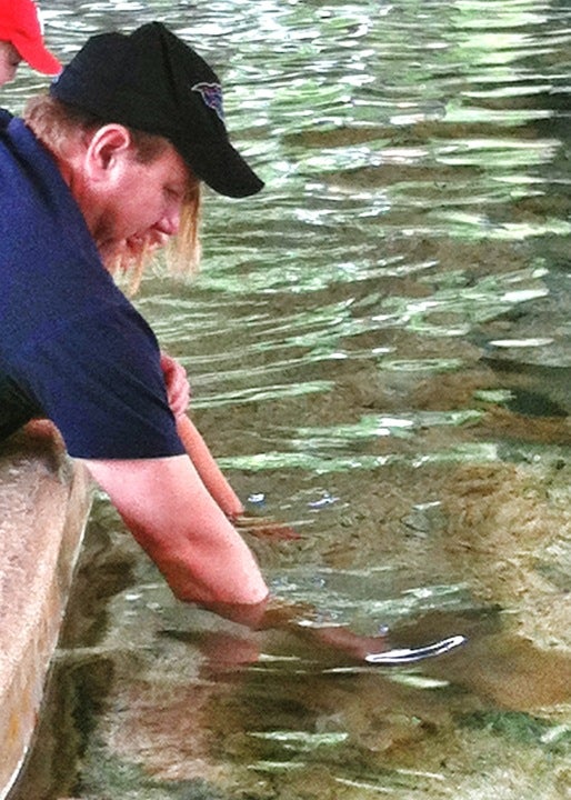 Stingrays at Caribbean Cove, STL ZOO, St. Louis, MO, Zoos - MapQuest