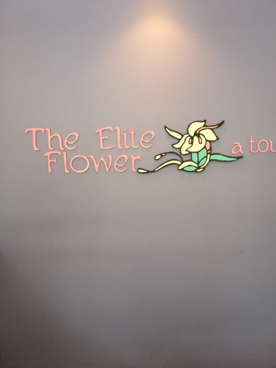 Elite Flower Services Inc Miami Fl | Best Flower Site