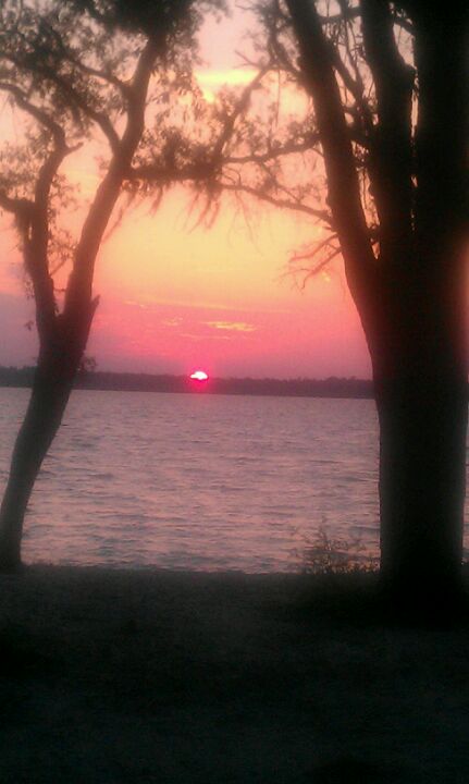 Lillian, AL Map & Directions - MapQuest