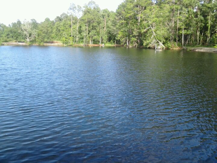 Oceanway Senior Center, 12215 Sago Ave, Jacksonville, FL, Community ...