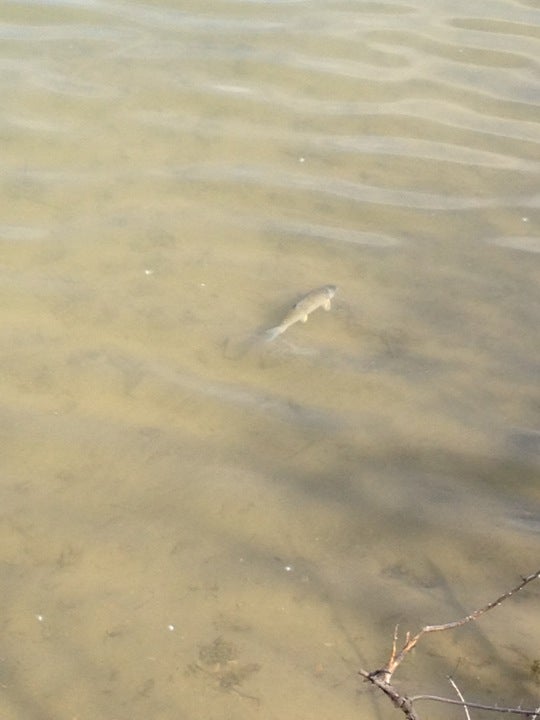 Melstone, MT Map & Directions - MapQuest