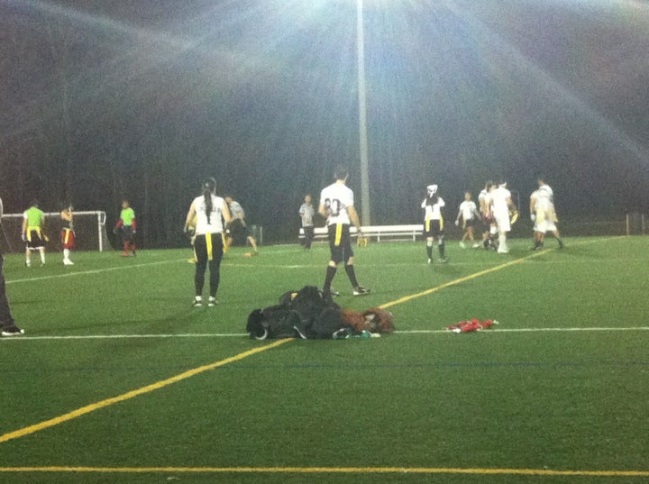 Greenbriar Park, 4601 Stringfellow Rd, Fairfax, VA, Picnic Grounds ...