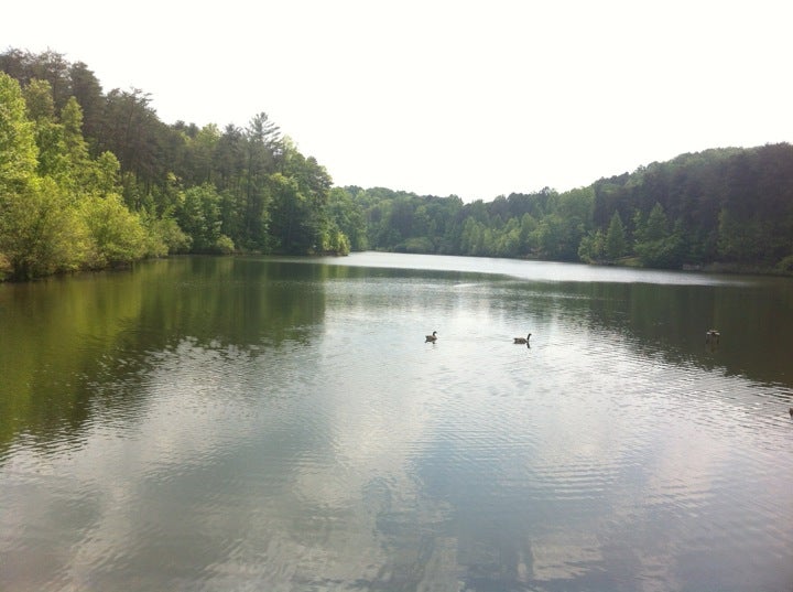 Patton Lake, Cindy Cv, Cleveland, GA - MapQuest