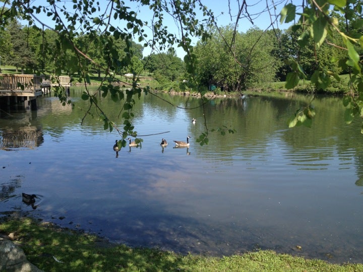 Wilton, IA Map & Directions - MapQuest