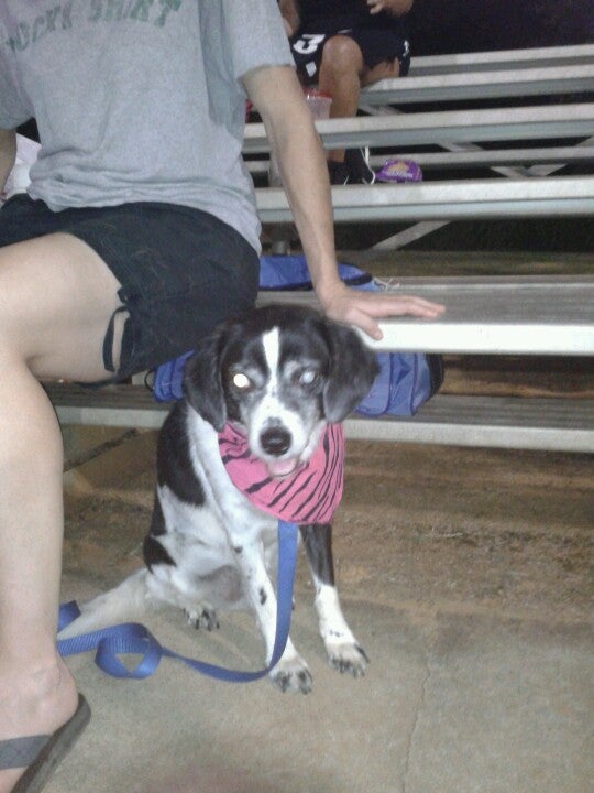 Kelley Cofer Pool, 4259 N Park Dr, Tucker, GA - MapQuest