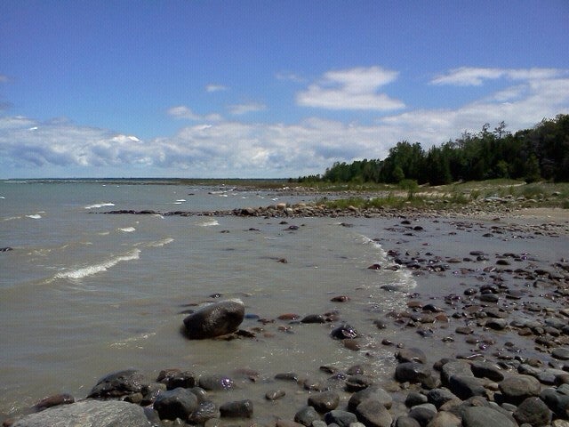 Macgregor Point Dog Beach, Port Elgin, ON, Beach - MapQuest
