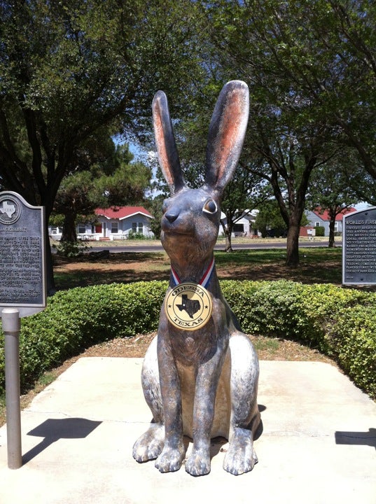 Jack Ben Rabbit, 802 N Sam Houston Ave, Odessa, TX, Outdoor Sports ...