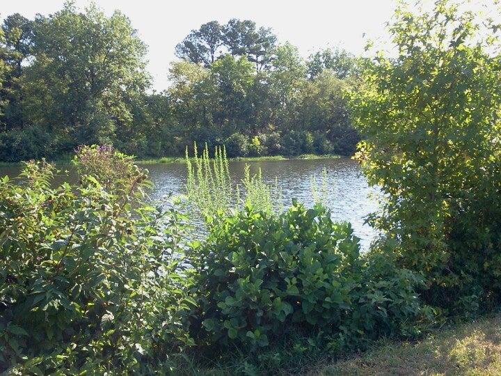 Old Cossey Pond, Littlepage St, Fredericksburg, VA - MapQuest
