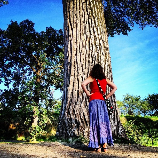 Randolph, MN Map & Directions - MapQuest