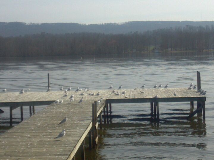 Section, AL Map & Directions - MapQuest