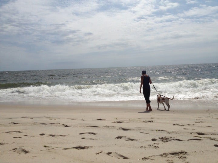 Smith Point Outer Beach, Fire Island, NY, Beach - MapQuest