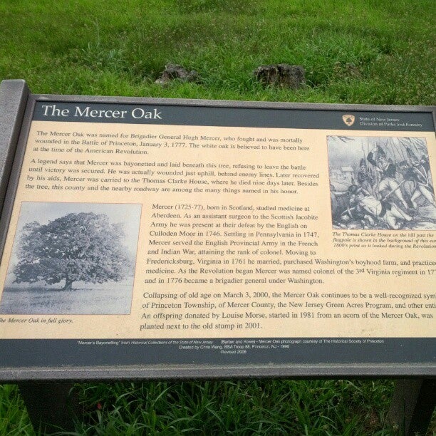 Mercer Oak Tree, 454 Mercer St, Princeton, NJ - MapQuest
