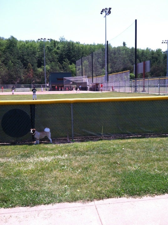 Peterswood Park, 750 Bebout Rd, Venetia, PA, Sports - MapQuest
