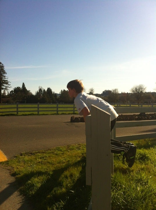 Ragle Ranch Regional Park, 500 Ragle Rd, Sebastopol, CA, Playgrounds ...