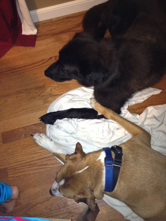 Beaverdam, VA Map & Directions - MapQuest